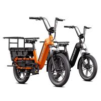 China Hunting Fat Tire Ebike with Cargo Rack and Dual Battery Long Range with LED Lights 48V 15Ah Battery Bike for sale
