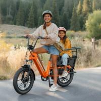 China Rear Basket and Strong Load Capacity All Terrain Cargo Electric Bike with Fat Tires and Removable Battery for sale