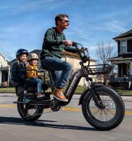 China Rear Basket and Strong Load Capacity All Terrain Cargo Electric Bike with Fat Tires and Removable Battery for sale