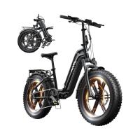 China TST Buddy Pro 20 Inch 48V Brushless Lithium Folding Electric Mountain Bike Super 1200W Rear Hub Motor 720Wh Integrated Removable for sale