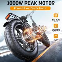 China TST Buddy Pro 20 Inch 48V Brushless Lithium Folding Electric Mountain Bike Super 1200W Rear Hub Motor 720Wh Integrated Removable for sale