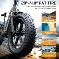China TST Buddy Pro 20 Inch 48V Brushless Lithium Folding Electric Mountain Bike Super 1200W Rear Hub Motor 720Wh Integrated Removable for sale