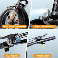 China TST Buddy Pro 20 Inch 48V Brushless Lithium Folding Electric Mountain Bike Super 1200W Rear Hub Motor 720Wh Integrated Removable for sale