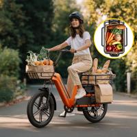 China Heavy Duty Cargo Fat Tire Electric Bike for Delivery and Transport  with Strong Rear Rack and Basket for sale