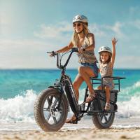 China Long Tail Electric Cargo Bike for Family, Kids & Pets, Large Capacity, Foldable, Urban Commute & Grocery, Electric Pedal Assist for sale