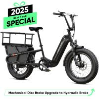 China Long Tail Electric Cargo Bike for Family, Kids & Pets, Large Capacity, Foldable, Urban Commute & Grocery, Electric Pedal Assist for sale
