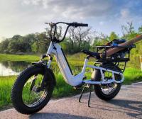 China Long Tail Electric Cargo Bike for Family, Kids & Pets, Large Capacity, Foldable, Urban Commute & Grocery, Electric Pedal Assist for sale