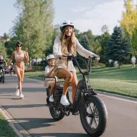 China Family Electric Long Tail Cargo Bike for Kids, Pets, Large Capacity, Foldable, Urban Commute  Transport, Pedal Assist for sale