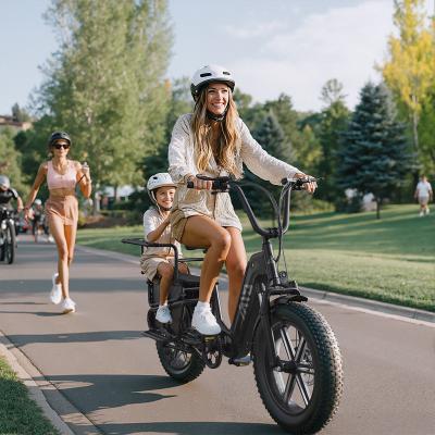 China Family Electric Long Tail Cargo Bike for Kids, Pets, Large Capacity, Foldable, Urban Commute  Transport, Pedal Assist for sale