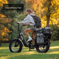 China Family Electric Long Tail Cargo Bike for Kids, Pets, Large Capacity, Foldable, Urban Commute  Transport, Pedal Assist for sale