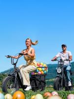 China Family Electric Long Tail Cargo Bike for Kids, Pets, Large Capacity, Foldable, Urban Commute  Transport, Pedal Assist for sale