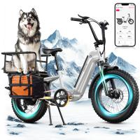 China Cargao 20''*3.0 1500W Full Suspension Electric Bike Moped-style 48v 1500W Brushless Power Supply 48v Lithium Battery Fat Tire for sale