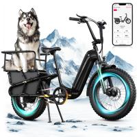 China OEM Long Tail Cargo Ebike Wholesale 48v 1500w Dual Suspension Electric Cargo Bike Electric Hybrid Bicycle with 3.0 Fat Tire for sale