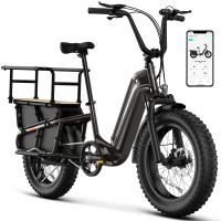 China OEM Long Tail Cargo Ebike Wholesale 48v 1500w Dual Suspension Electric Cargo Bike Electric Hybrid Bicycle with 3.0 Fat Tire for sale