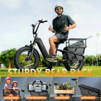 China OEM Long Tail Cargo Ebike Wholesale 48v 1500w Dual Suspension Electric Cargo Bike Electric Hybrid Bicycle with 3.0 Fat Tire for sale