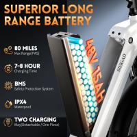 China OEM Long Tail Cargo Ebike Wholesale 48v 1500w Dual Suspension Electric Cargo Bike Electric Hybrid Bicycle with 3.0 Fat Tire for sale