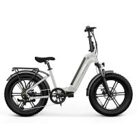 China Hot Selling TST 250W Powerful Steel Frame Electric Hybrid Folding Bike for Teens Electric Bike Adults Bicicleta Foldable Ebike for sale