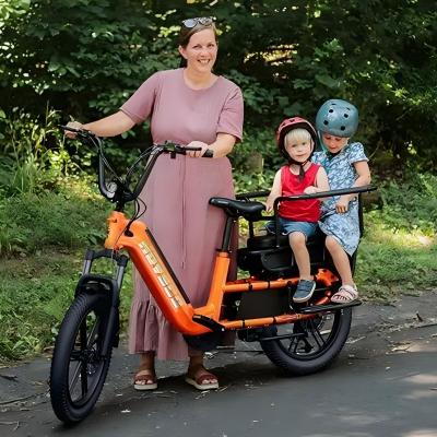 China EU Aluminum Frame Hybrid Electric Cargo Bike with Torque Sensor 750W Long Tail Cargo for 2 Kids 48v Lithium Urban Commute E-bike for sale
