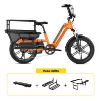 China EU Aluminum Frame Hybrid Electric Cargo Bike with Torque Sensor 750W Long Tail Cargo for 2 Kids 48v Lithium Urban Commute E-bike for sale