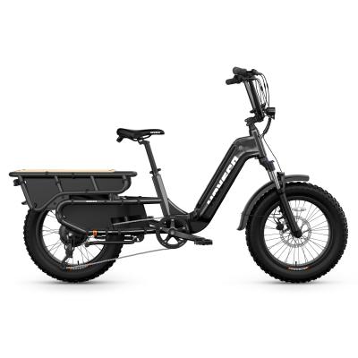 China EU/AU Cargo Ebike Utility Aluminum Brushless 48V15AH Fat Tire Ebike for Delivery with Rear Rack Hub Motor 750W Electric Bike for sale