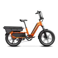 China EU/AU Cargo Ebike Utility Aluminum Brushless 48V15AH Fat Tire Ebike for Delivery with Rear Rack Hub Motor 750W Electric Bike for sale