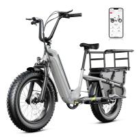 China Latest TST Carrier 20'' Fat Tire Electric Bike for Children Electric Bicycle Cargo E-bike 7 Speed Loading Electric Cargo Bicycle for sale
