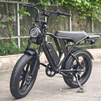 China Electric Bicycle Disc Brake Dirt Bikes V20 V8 R002 Retro Sport Electronic Bicycle Fat Bike Ebike for sale