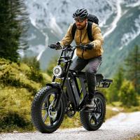 China Electric Bicycle Disc Brake Dirt Bikes V20 V8 R002 Retro Sport Electronic Bicycle Fat Bike Ebike for sale