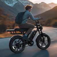 China Electric Bicycle Disc Brake Dirt Bikes V20 V8 R002 Retro Sport Electronic Bicycle Fat Bike Ebike for sale