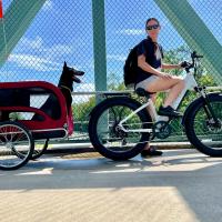 China F622 48V 26'' Commuting E-Bike 750W Motor 80km Range 7 Speed Lightweight Steel Lithium Battery Rated Tire for Urban Riding for sale