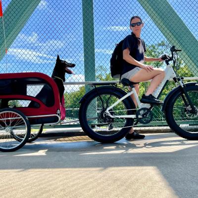 China F622 48V 26'' Commuting E-Bike 750W Motor 80km Range 7 Speed Lightweight Steel Lithium Battery Rated Tire for Urban Riding for sale