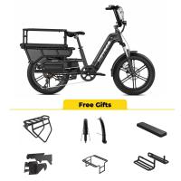 China New Arrival EU Stock Hovsco Brand 20'' Fat Tire Electric Bicycle Family Cargo E Bike with Aluminum Frame Long Tail Cargo E Bike for sale