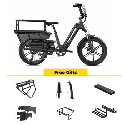 China New Arrival EU Stock Hovsco Brand 20'' Fat Tire Electric Bicycle Family Cargo E Bike with Aluminum Frame Long Tail Cargo E Bike for sale