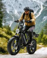 China Ready Stock EU/UK Adult 20-Inch Dirt E-Bike  City Hybrid Folding Electric Fat Tire Bike 15ah 750w 25km/h Mountain Hidoes Ebike for sale