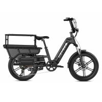 China Electric Long Tail Cargo Bike for Urban & Family Use, 2-3 Kids & Pet Seats, Large Capacity Electric Cargo Bike for sale