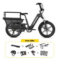 China Family Use  Electric Cargo Bike for 2-3 Kids & Pet Seats, Large Capacity Electric Cargo Trike for Adult for sale