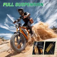 China Premium 48V Lithium Battery Fat Tire Electric Bike, Long Range 60-80KM Snow Sand/MTB E-Bike 250W for sale