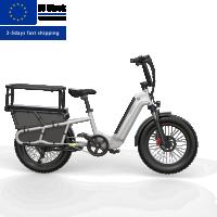China Electric Cargo Bike Electric Bike Kit 250w 500w 750w 1000w Electric Bike with Rear Hub Motor for sale