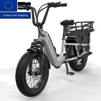 China Electric Cargo Bike Electric Bike Kit 250w 500w 750w 1000w Electric Bike with Rear Hub Motor for sale