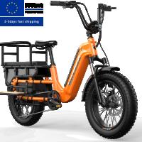 China Electric Cargo Bike Electric Bike Kit 250w 500w 750w 1000w Electric Bike with Rear Hub Motor for sale