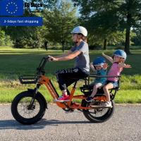 China Electric Cargo Bike Electric Bike Kit 250w 500w 750w 1000w Electric Bike with Rear Hub Motor for sale