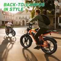 China Beast Monster Fat Tire E-Bike Conquer Any Landscape Mountain Snow Sand Stylish Urban Fat Tire Electric Cruiser Bike for sale