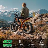 China Beast Monster Fat Tire E-Bike Conquer Any Landscape Mountain Snow Sand Stylish Urban Fat Tire Electric Cruiser Bike for sale