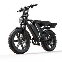 China R005 Hybrid Electric Bike with 15Ah/20Ah Factory OEM/ODM Lithium Battery 48V 500W/750W/1000W Motor Fat Tire E-bike for sale