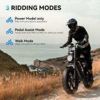 China R005 Hybrid Electric Bike with 15Ah/20Ah Factory OEM/ODM Lithium Battery 48V 500W/750W/1000W Motor Fat Tire E-bike for sale