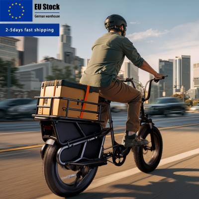China Electric Dirt Bike 250w 500w 750w Electric Cargo Bike for Family Use, 2-3 Kids & Pet Seats, Large Capacity for sale