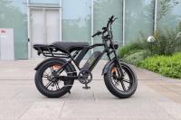 China R005 Hybrid Electric Bike with 15Ah/20Ah Factory OEM/ODM Lithium Battery 48V 500W/750W/1000W Motor Fat Tire E-bike for sale