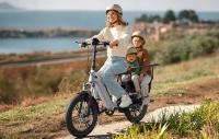 China Electric Dirt Bike 250w 500w 750w Electric Cargo Bike for Family Use, 2-3 Kids & Pet Seats, Large Capacity for sale