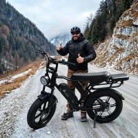 China R005 Hybrid Electric Bike with 15Ah/20Ah Factory OEM/ODM Lithium Battery 48V 500W/750W/1000W Motor Fat Tire E-bike for sale