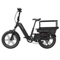 China Long Range 250w 500w 750w 1000w Electric Bike Cargo Bike for Urban & Family Use for sale